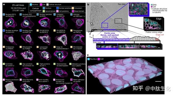 1月Nature杂志不得不看的重磅级亮点研究！ - 知乎