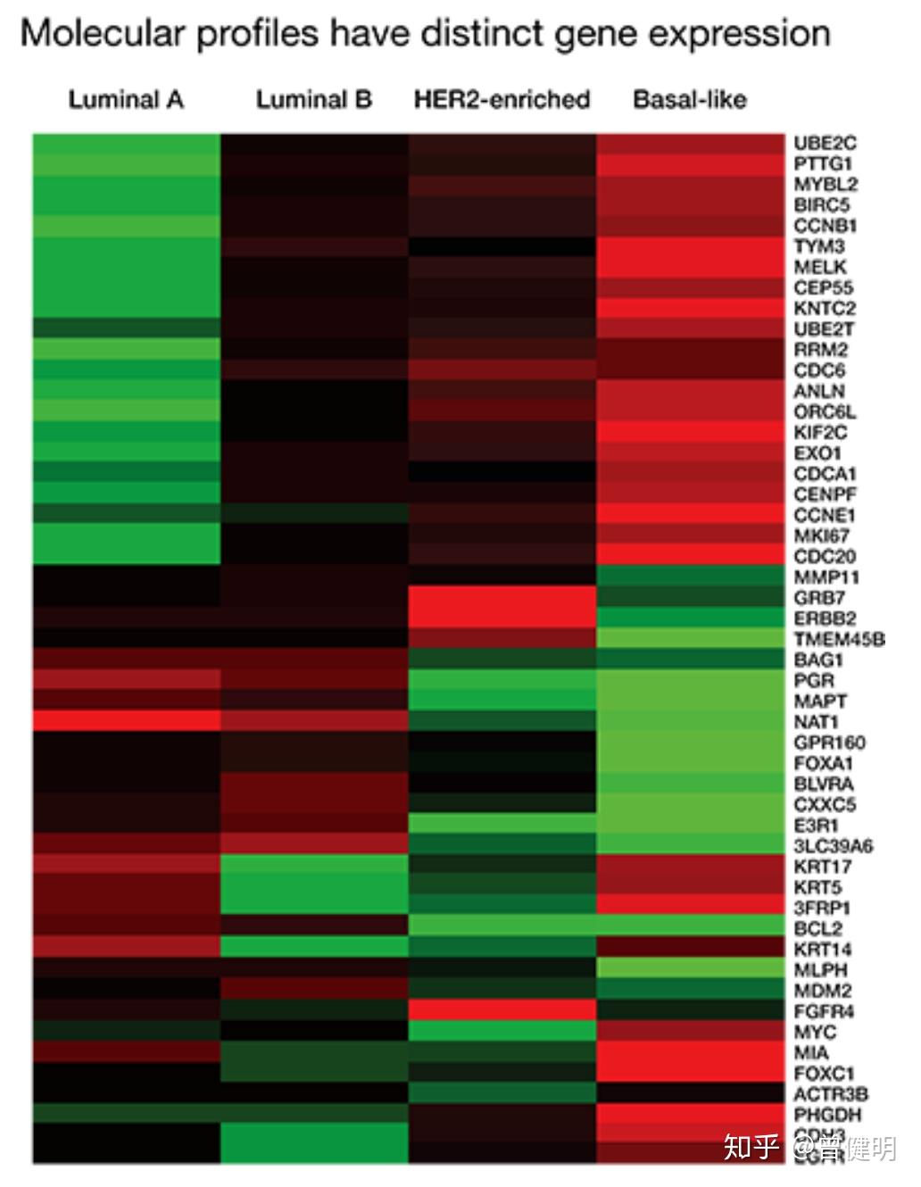 PAM50的概念及分子分型算法原理 - 知乎