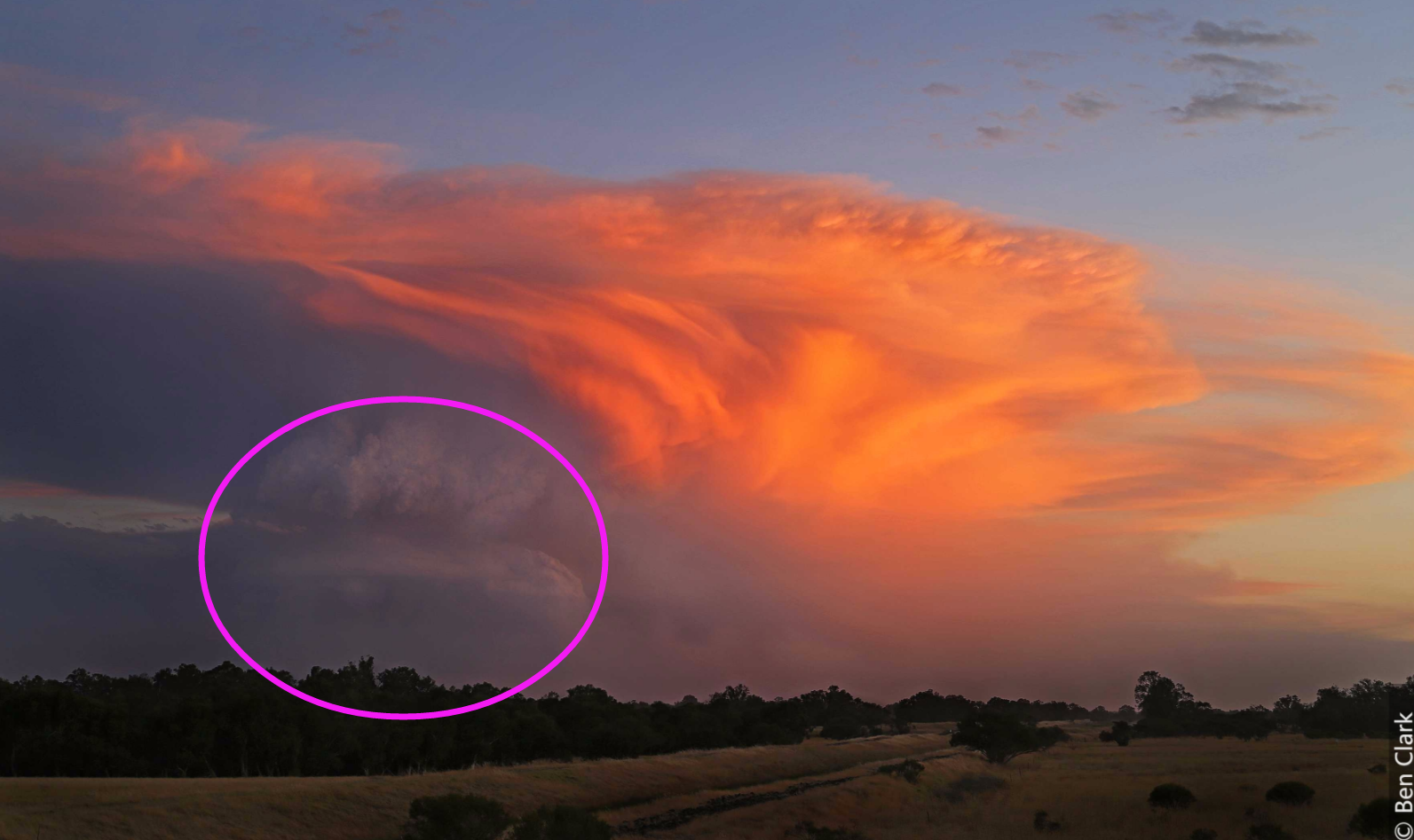 [探云]带你看新云——拖更了30年，《国际云图》终于更新了！（长篇） - 知乎