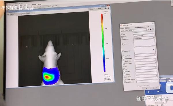 IVIS小动物活体成像仪学习笔记 - 知乎