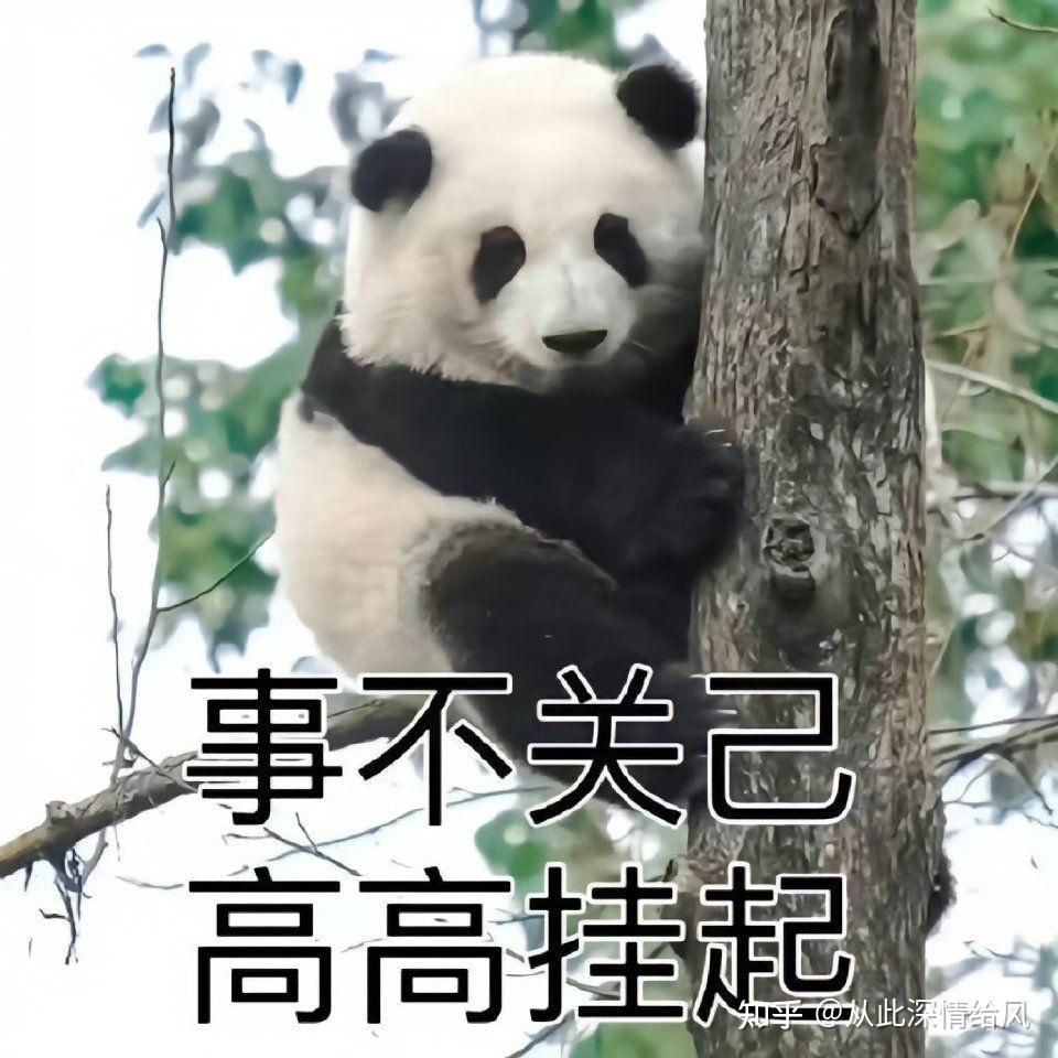 熊猫表情包 自取～ - 知乎