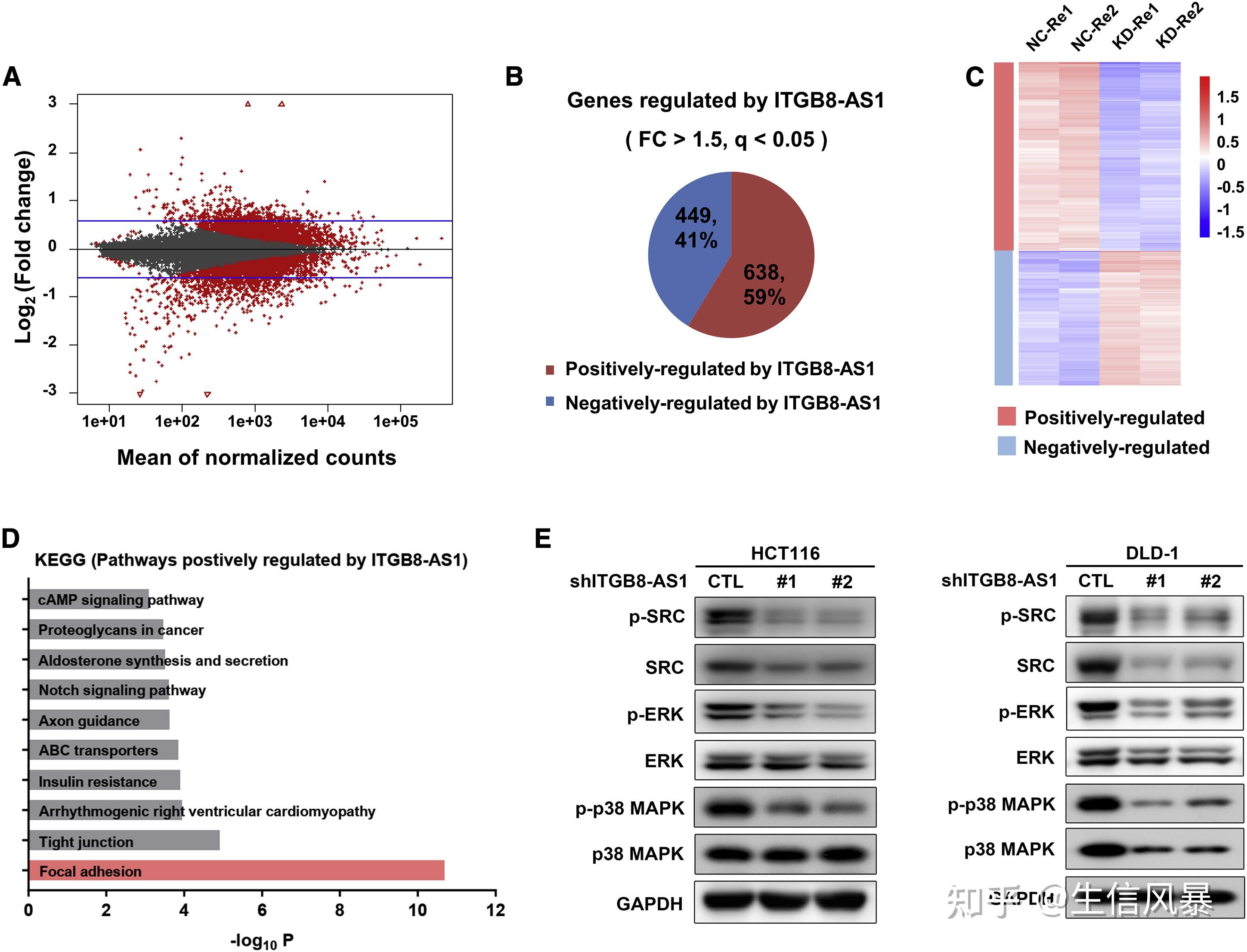 来看看肿瘤ceRNA如何发12+生信文章 - 知乎