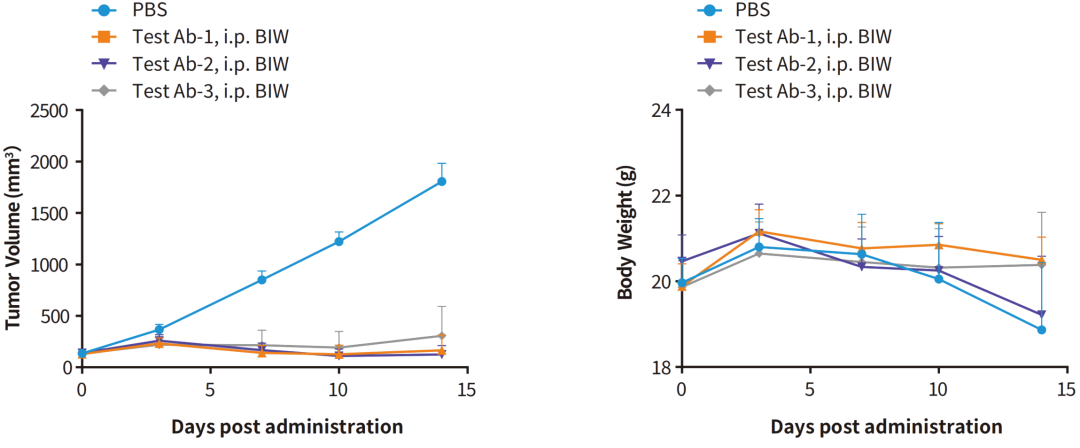 关于CDX模型，这些知识点你必须了解！ - 知乎