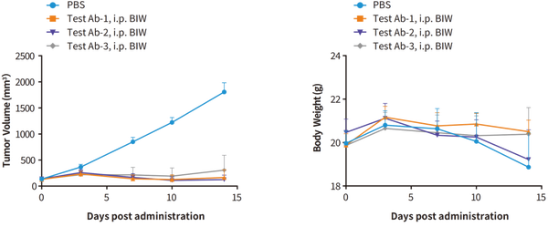 关于CDX模型，这些知识点你必须了解！ - 知乎