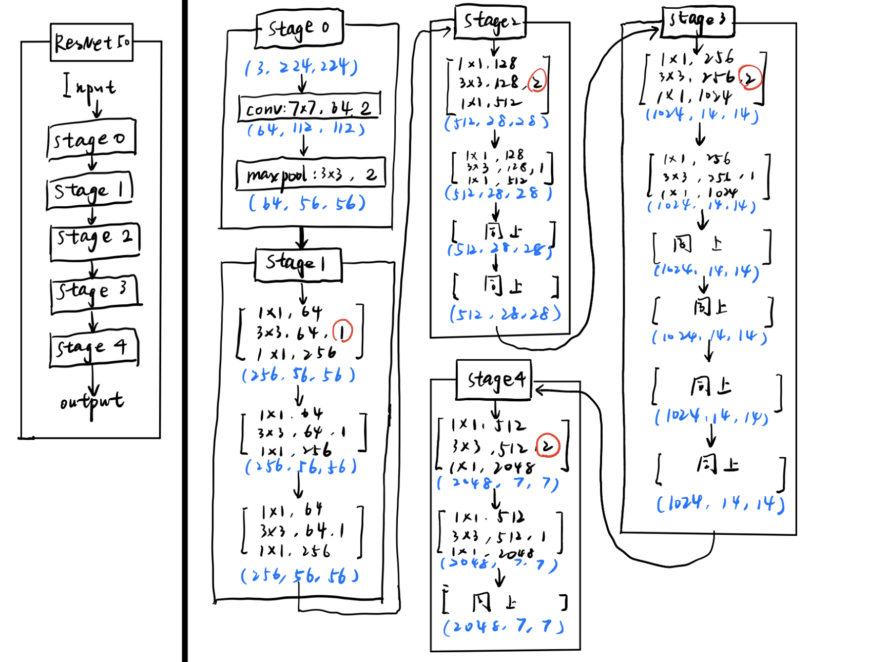 ResNet代码详解 - 知乎