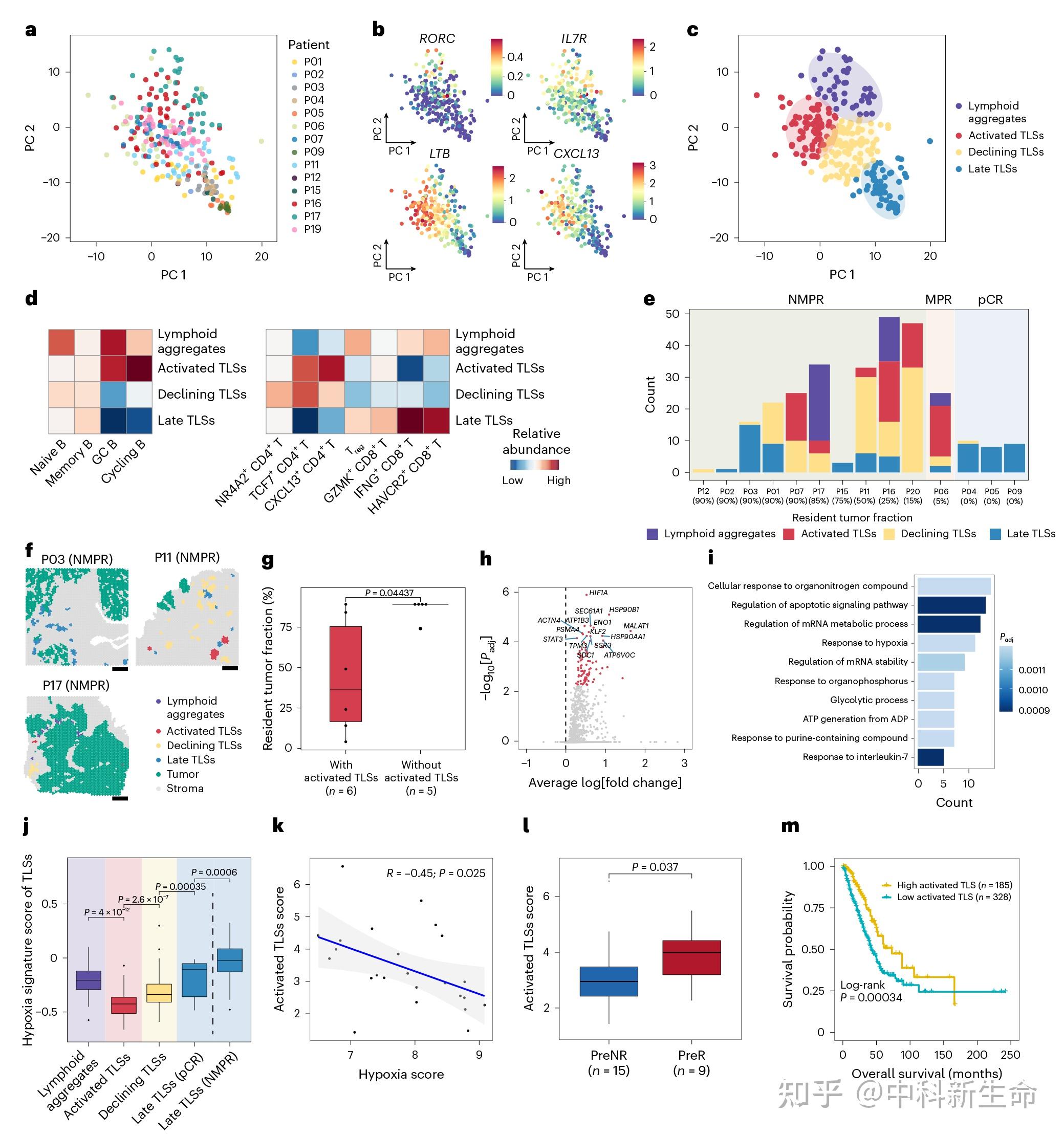 Nat Genet | 同济大学张鹏等引领肺癌免疫疗法新突破，解密肺癌耐药性机制 - 知乎