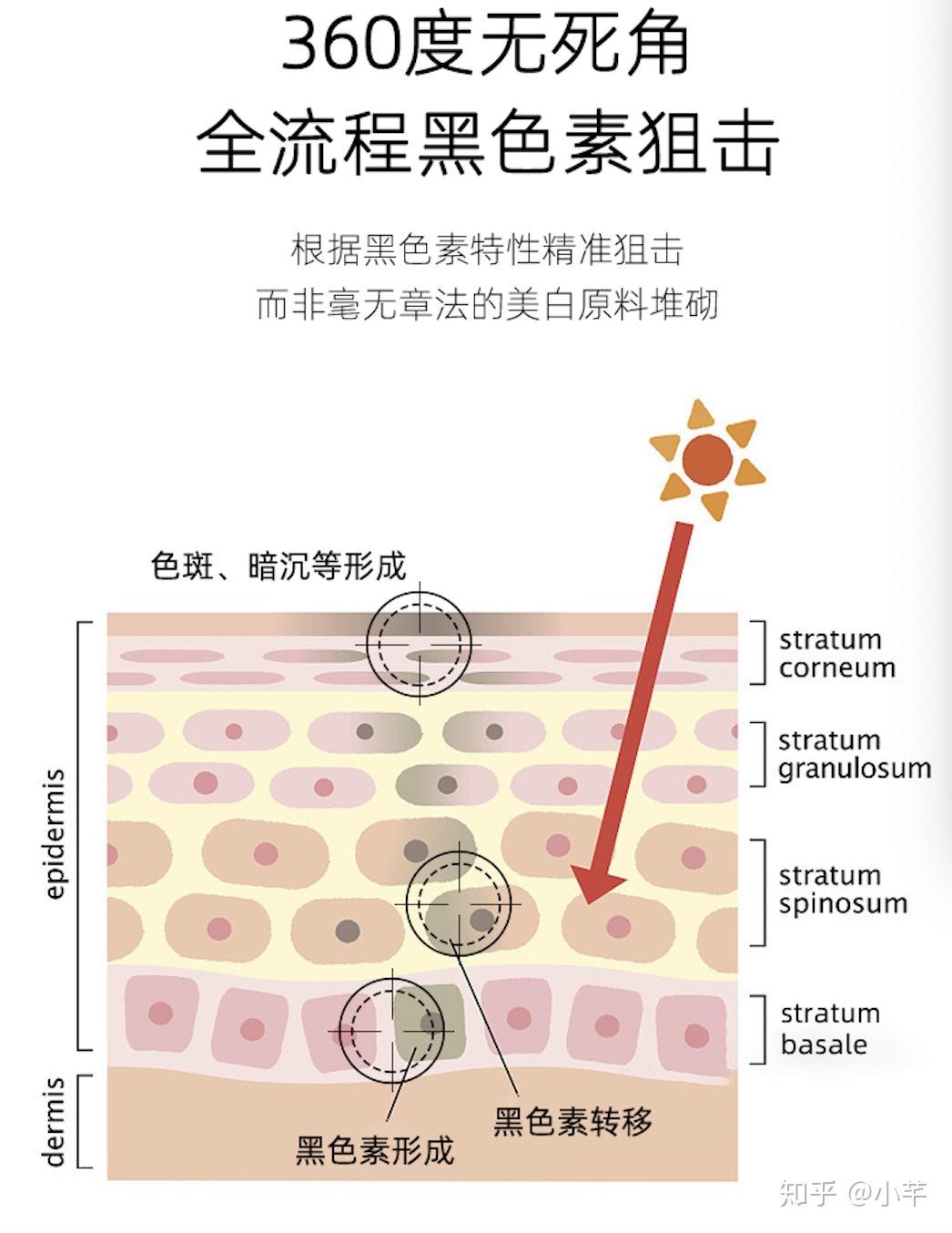 如何从土方法美白转变到科学美白? 知乎