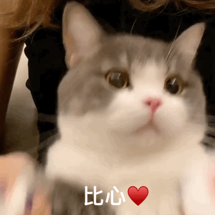 【考官说】关于DELF/DALF考试你最关心的问题，都在这篇CIEP考官采访里了 - 知乎