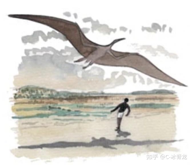 【神秘动物学】纳米比亚翼龙（Neopterosaurs in Namibia） - 知乎