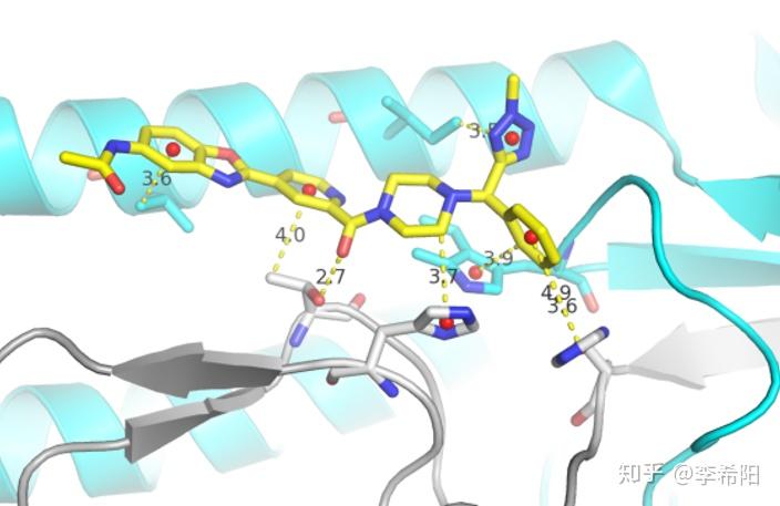零基础PyMOL作图教程——绘制蛋白质-分子结合模式图 - 知乎