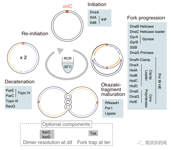 Moderna宣布收购OriCiro Genomics，获得无细胞长片段DNA合成扩增技术 - 知乎