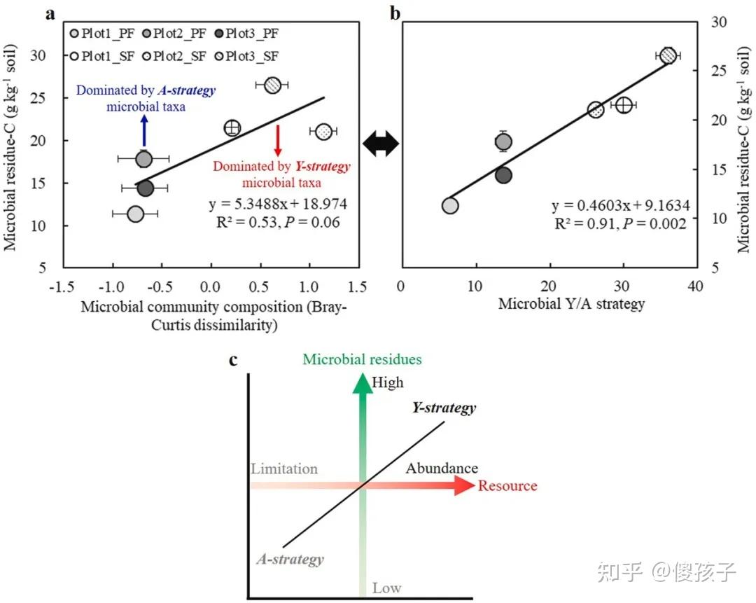 微生物生活史策略的权衡影响着亚热带森林土壤中微生物残体的命运 - 知乎