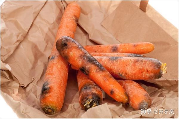 冷藏、冷冻和解冻：一些你不知道的食物保存技巧 - 知乎