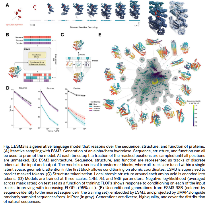 Science | ESM3: 借助语言模型再现蛋白质5亿年的进化奇迹 - 知乎