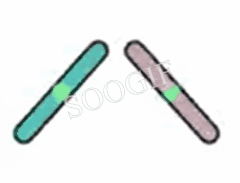 一份不太简洁的Pymunk教程（一） - 知乎