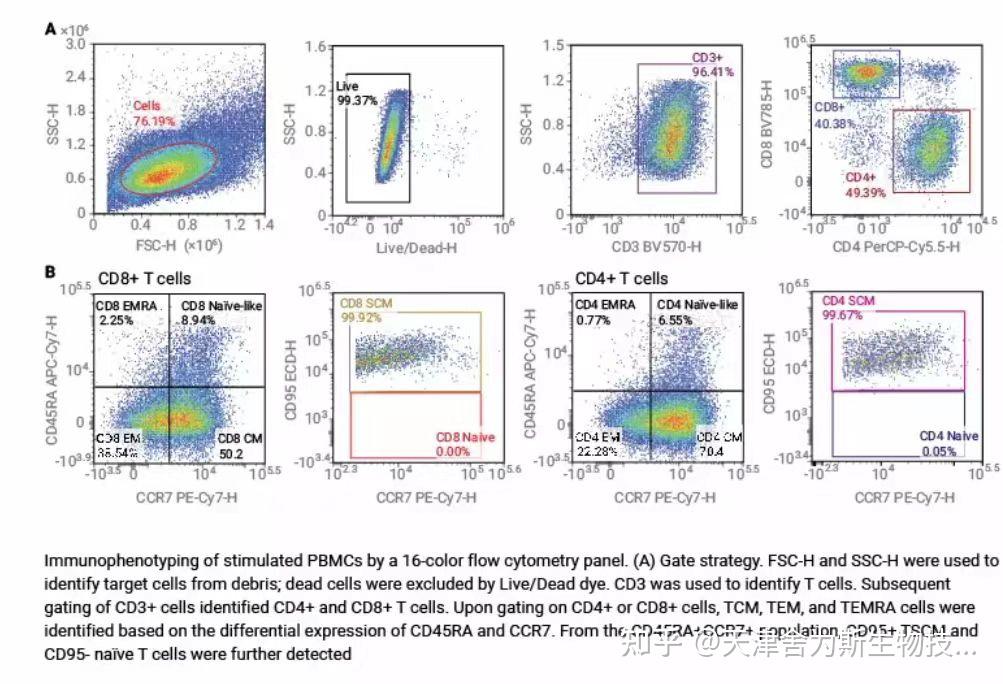 流式细胞仪——流式细胞术的强大广泛应用及科普 - 知乎