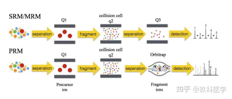 PRM技术|高精度质谱实现蛋白质定量，技术优势有哪些？ - 知乎