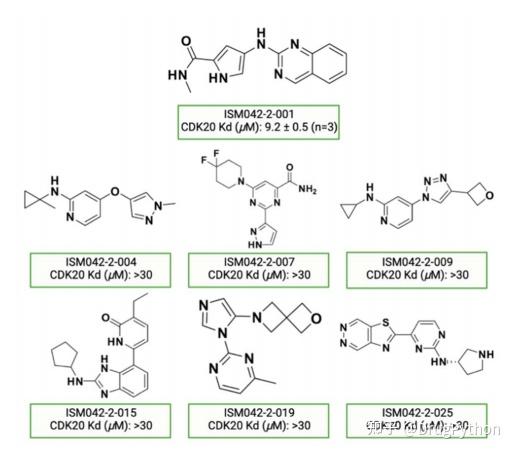 Chem. Sci.|AlphaFold加速了人工智能药物的发现：一种新型CDK20小分子抑制剂 - 知乎
