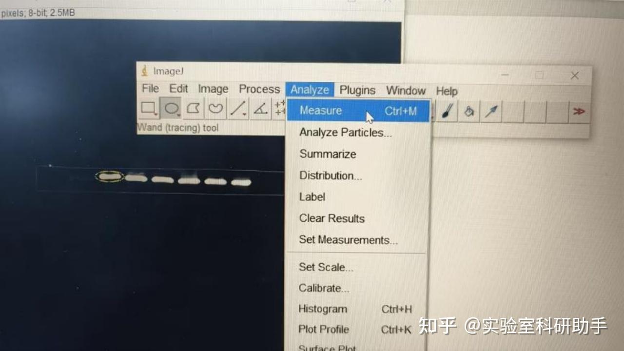 手把手教学——WB条带量化之ImageJ软件分析 - 知乎