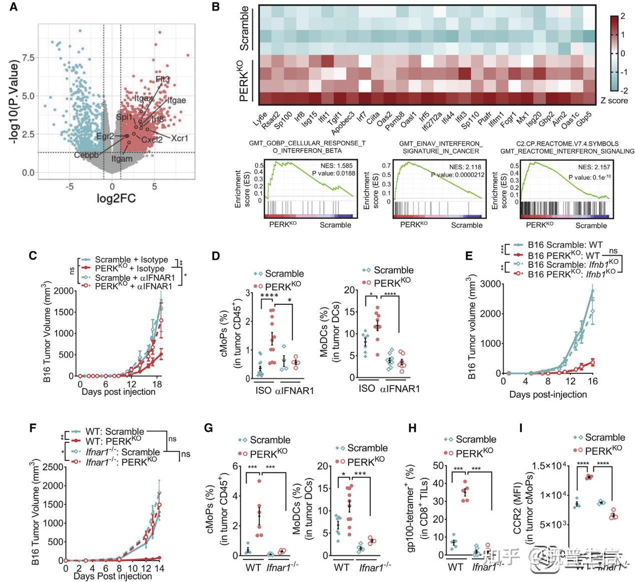 cancer cell|内质网应激的癌细胞如何调节抗肿瘤免疫？ - 知乎