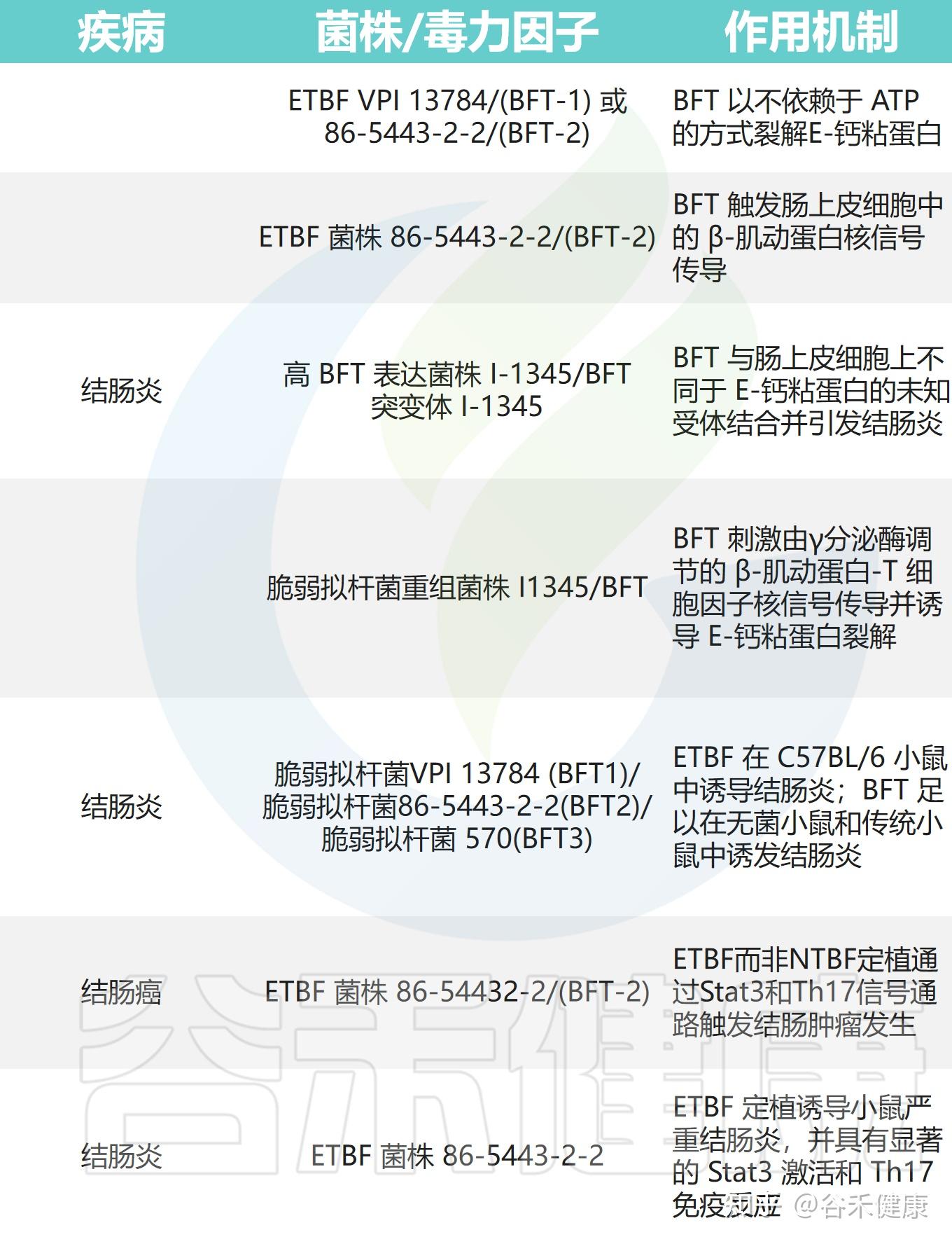 正确认识肠道内脆弱拟杆菌——其在健康的阴暗面和光明面 - 知乎