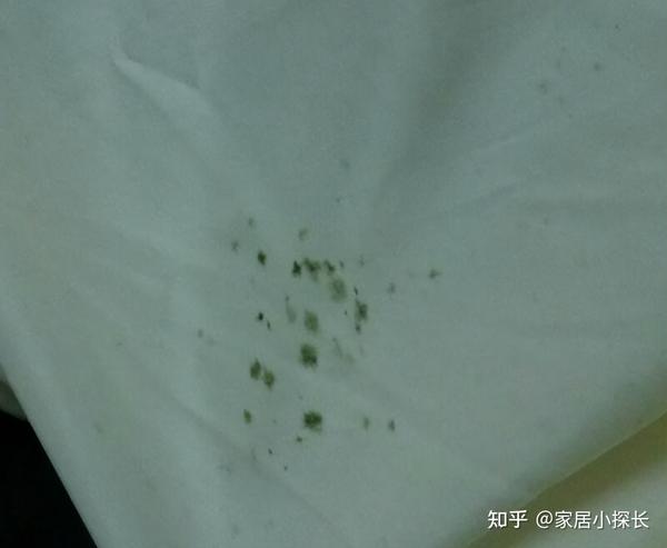 衣服受潮发霉怎么办？教你正确做法，霉斑消失，衣服跟新买的一样 知乎