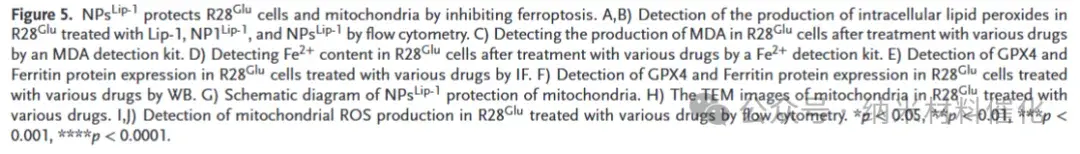 【Adv.Mater】铁螯合和活性氧清除聚合物与硫酮和硫醚键传递铁死亡抑制剂Lip‐1提供急性青光眼视网膜神经节细胞三联治疗策略 - 知乎