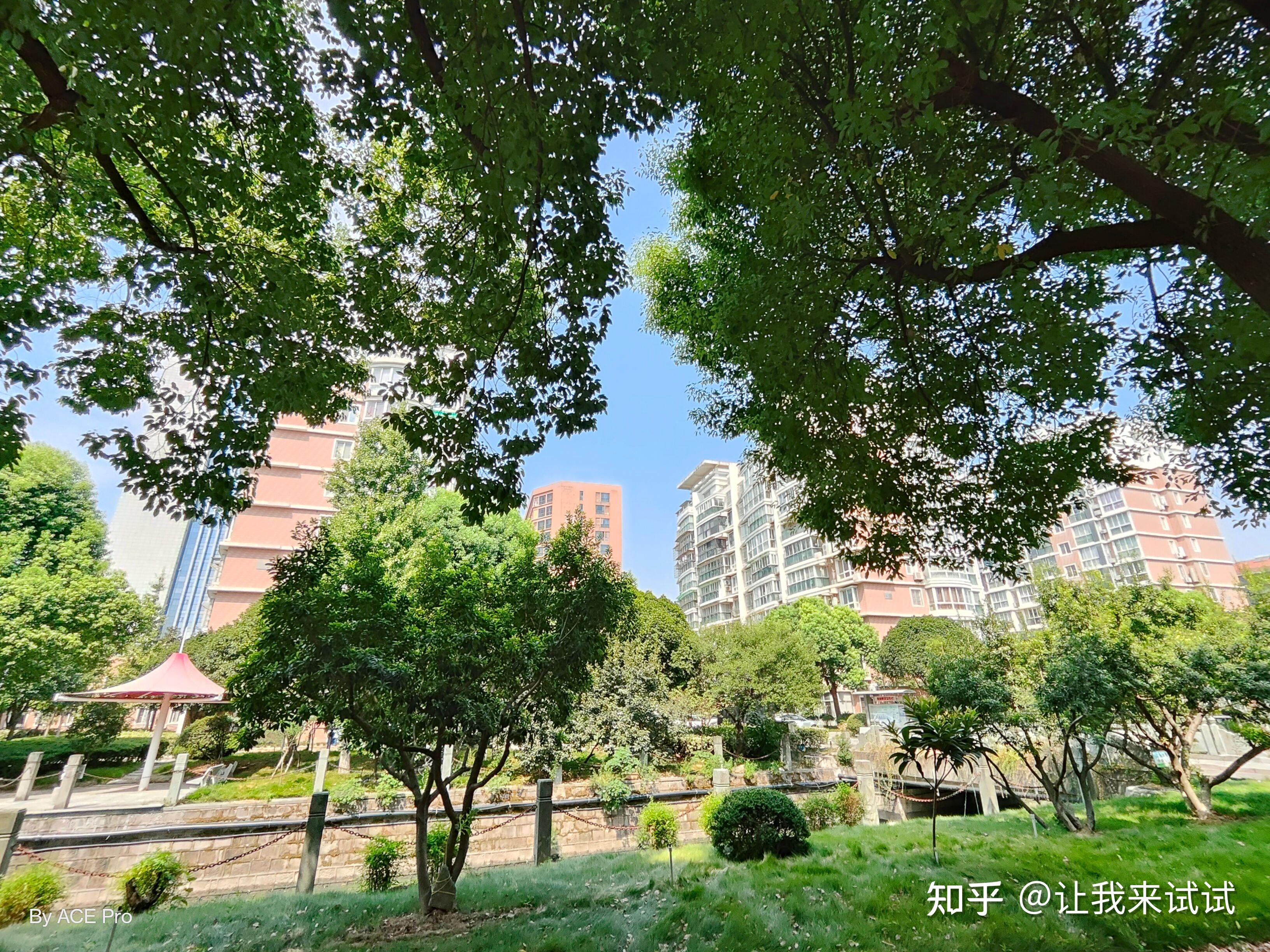 双十一手机买什么？一加10 pro和ACE Pro拍照详细对比 - 知乎