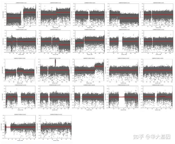 重磅！华大PMseq® CNV分析流程全新上线 - 知乎