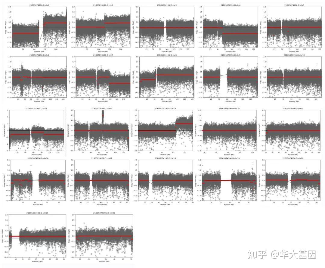 重磅！华大PMseq® CNV分析流程全新上线 - 知乎
