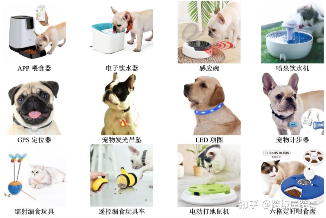 营收18亿！杭州大卖去年卖了5000万套宠物玩具 - 知乎