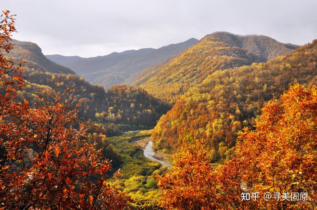 【云游固原】金秋十月，一起在六盘山层林尽染中沉醉！ - 知乎