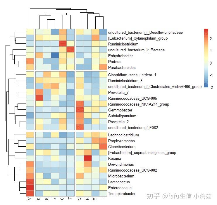 R语言pheatmap包绘制热图进阶教程 - 知乎