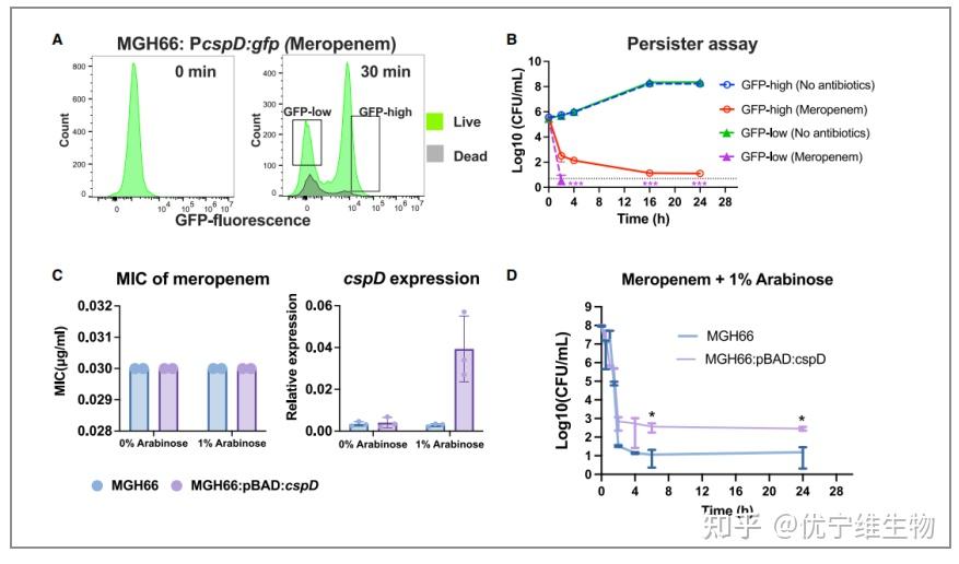 BacDrop单细胞微生物测序方法揭示与抗生素相关的细胞异质性 - 知乎