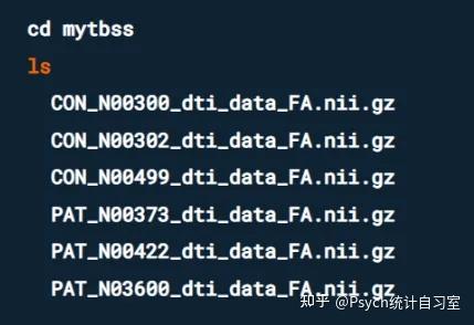 基于FSL的TBSS分析 - 知乎