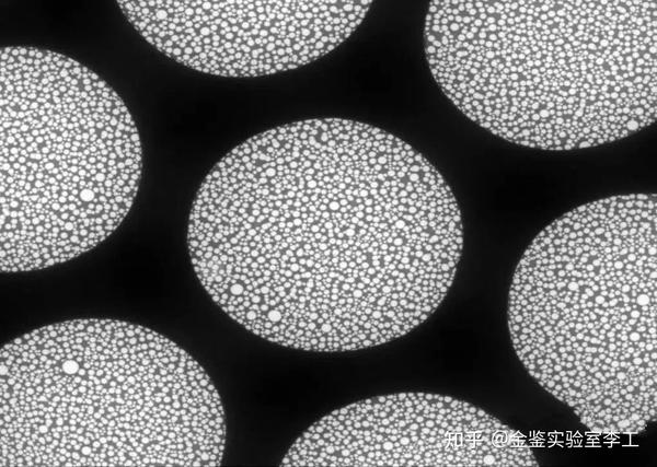 透射电镜TEM中如何正确制样和选择载网？ - 知乎