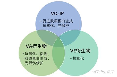 一种稳定、高效的抗氧化成分--VC-IP - 知乎