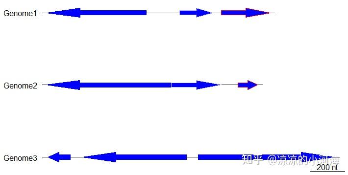 genoPlotR绘制基因组结构（Part I 基础的基因组结构绘制） - 知乎