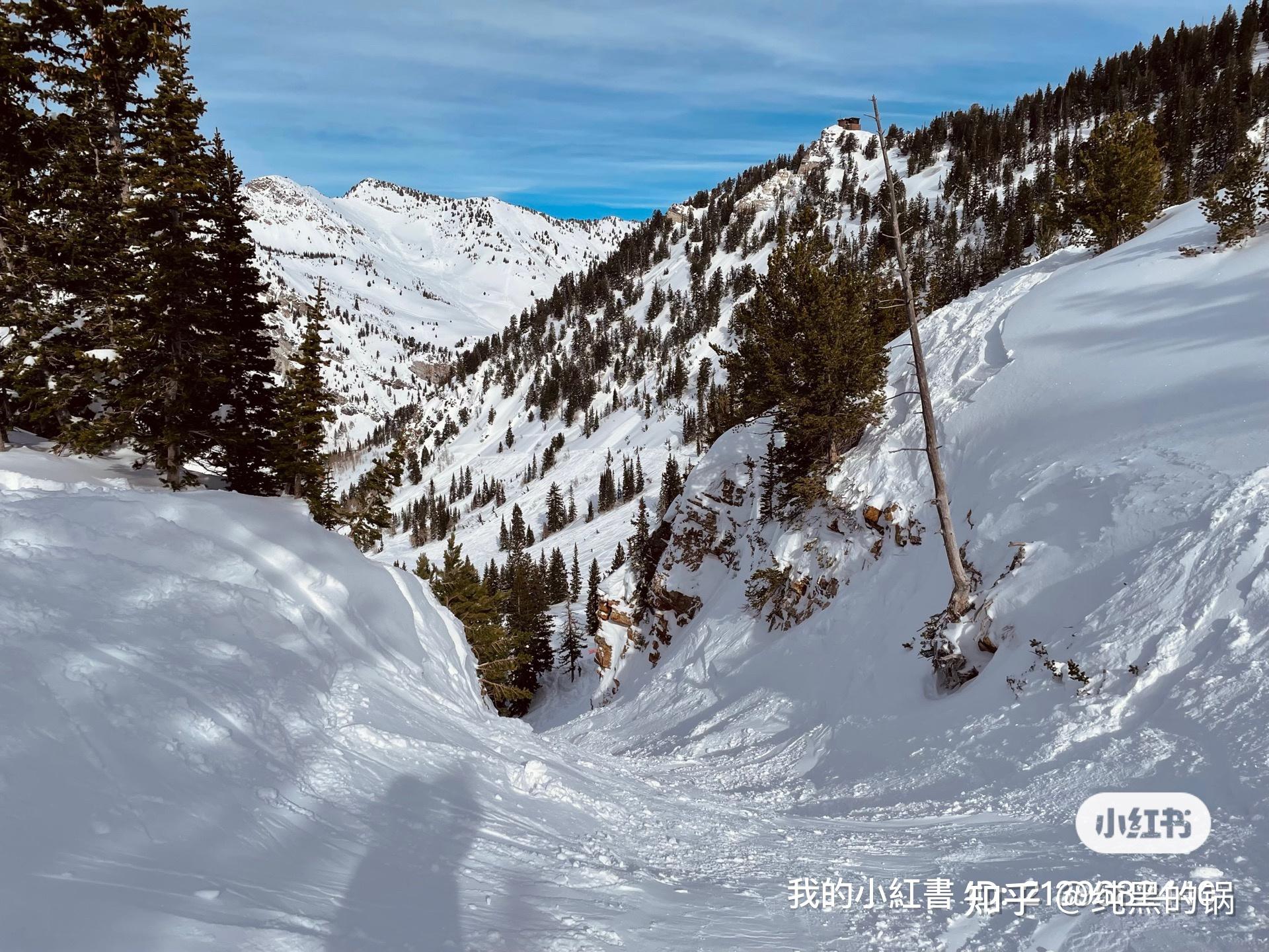 浅谈美国盐湖城 Snowbird 雪鸟滑雪场地形 - 知乎