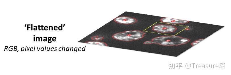 ImageJ实用技巧——图像标注(基本功能篇) - 知乎