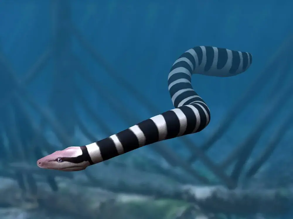 海蛇巅峰！统治浅海两千万年的神秘古蛇 - 知乎