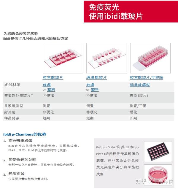 ibidi应用指南|免疫荧光实验 - 知乎