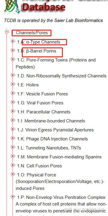 生信笔记：蛋白质序列 VFDB注释 - 知乎