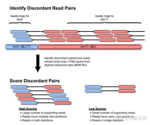 融合基因(Fusion)主要检测方法 - 知乎