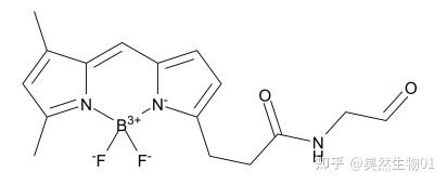 Deferoxamine-PEG-BODIPY，Deferoxamine-PEG-BODIPY R6G， 去铁胺-氟化硼二吡咯 - 知乎