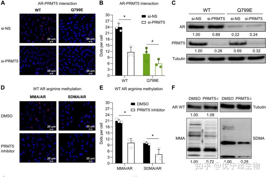 科研干货！Naveni PLA技术&现有文献部分解析 - 知乎