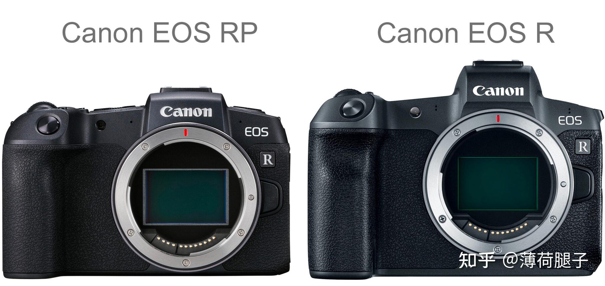 佳能 EOS R 和 EOS RP 两者有什么差别？哪款值得入手？