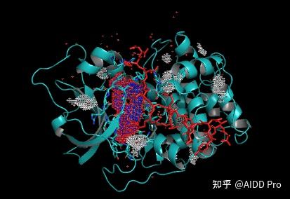 PyMOL进阶教程【02】分析蛋白活性口袋并测量体积 - 知乎