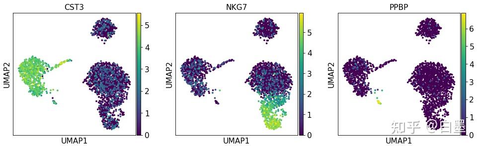 scanpy 单细胞分析包图文详解 - 知乎