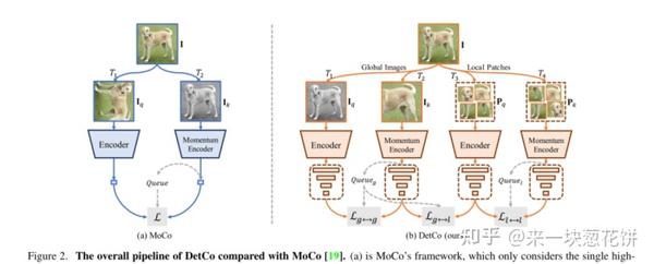 DetCo--论文解析: Unsupervised Contrastive Learning for Object Detection - 知乎